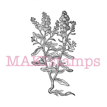 Flower rubber stamp / medieval woodcut wallflower – unmounted rubber ...